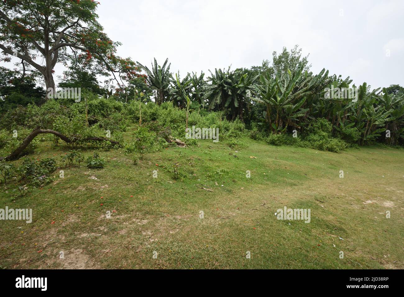 Der alte Hügel von Chandraketugarh oder die befestigte Stadt des Königs ...