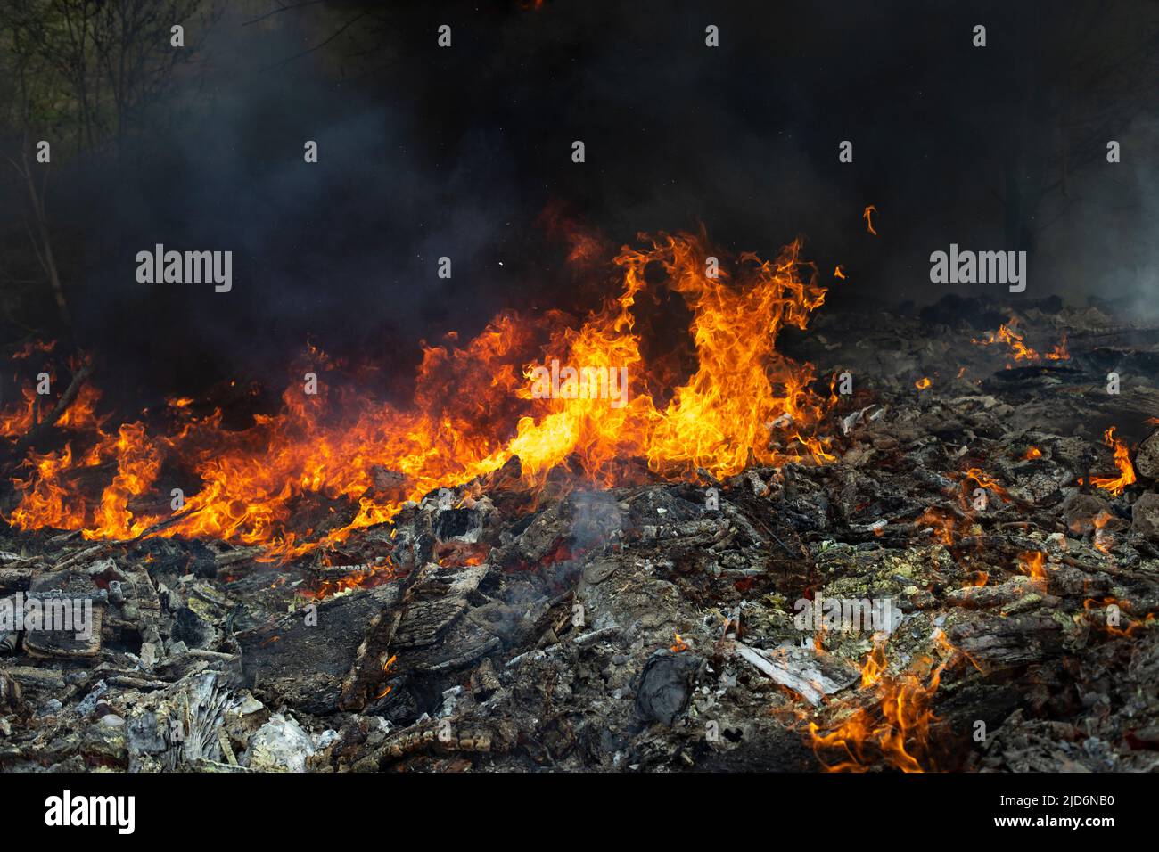 Feuer und schwarzer Rauch. Brand in Deponien. Rauch im Wald. Illegale ...