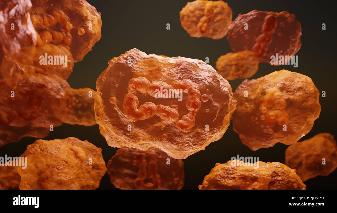 Pocken variante -Fotos und -Bildmaterial in hoher Auflösung – Alamy