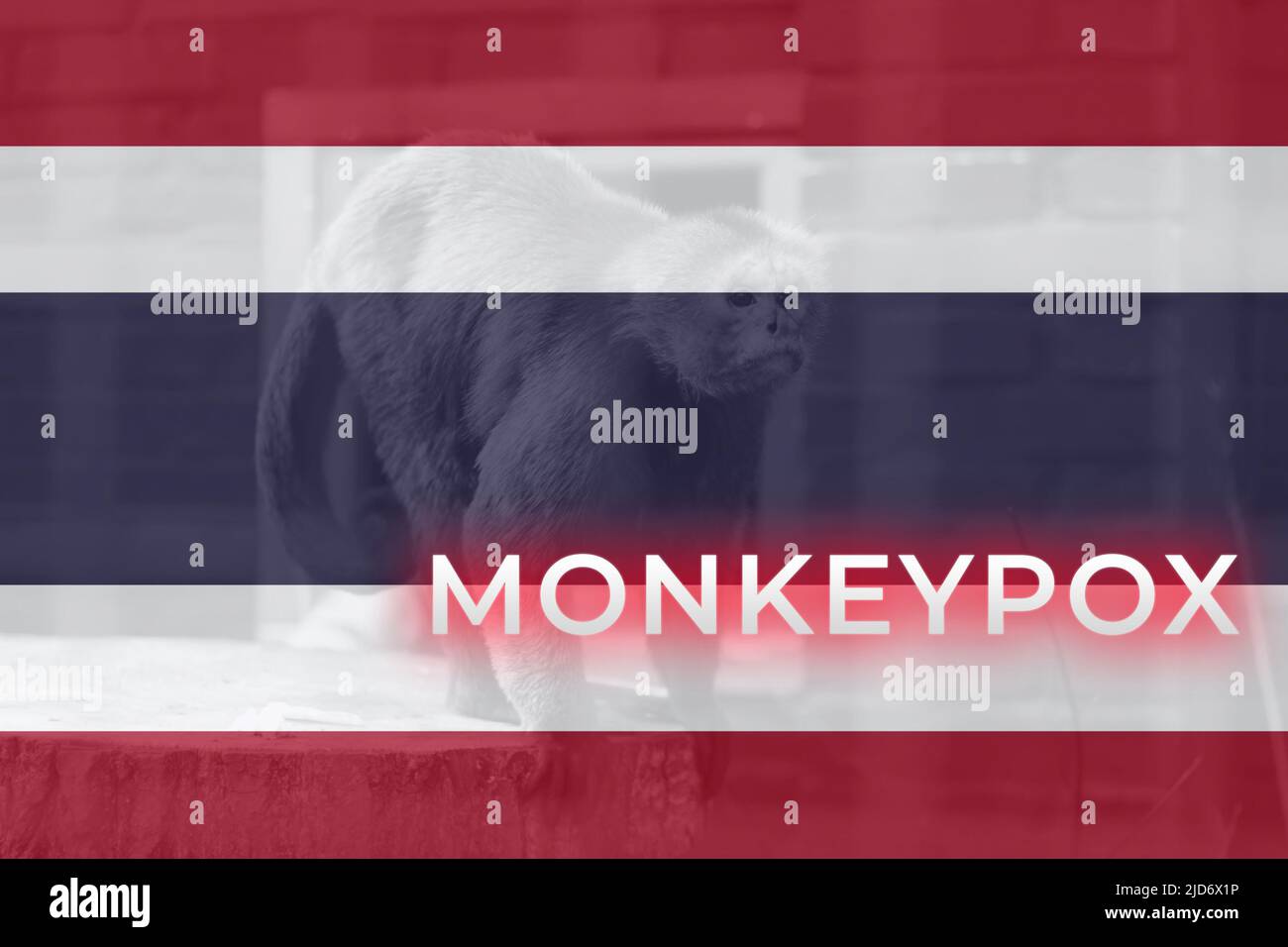 Pocken von affen -Fotos und -Bildmaterial in hoher Auflösung – Alamy