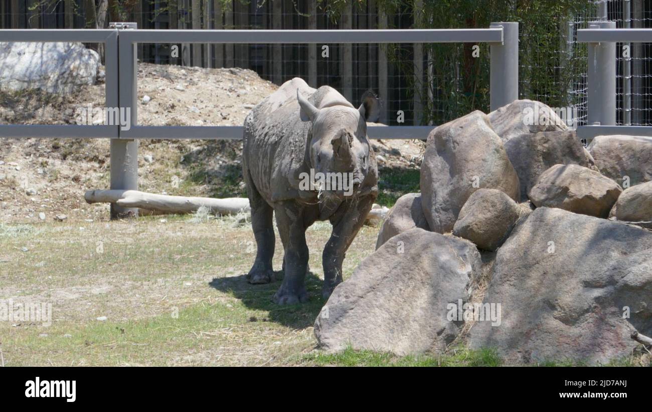 Palm Desert, California, USA 11.. Juni 2022 Ein allgemeiner Blick auf die Atmosphäre des ...