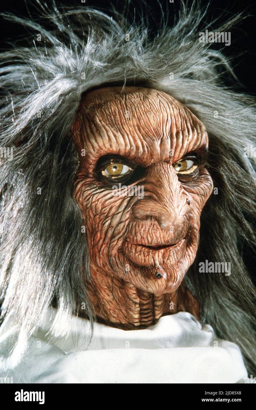 The other mob - Page 1086 - General Football & Sport - Rangers Media