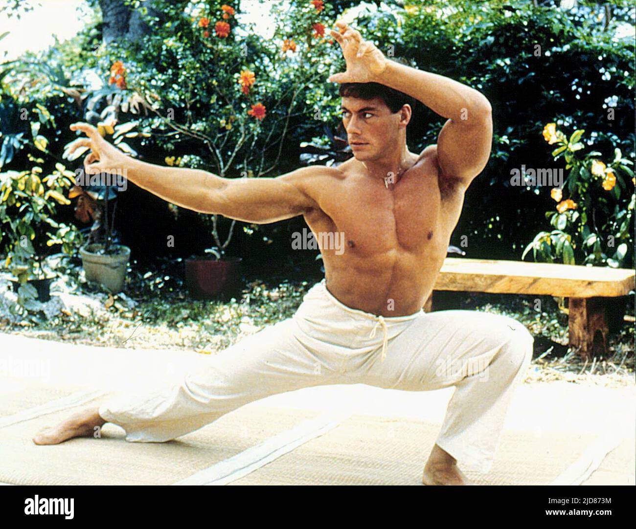 Van damme bloodsport -Fotos und -Bildmaterial in hoher Auflösung – Alamy