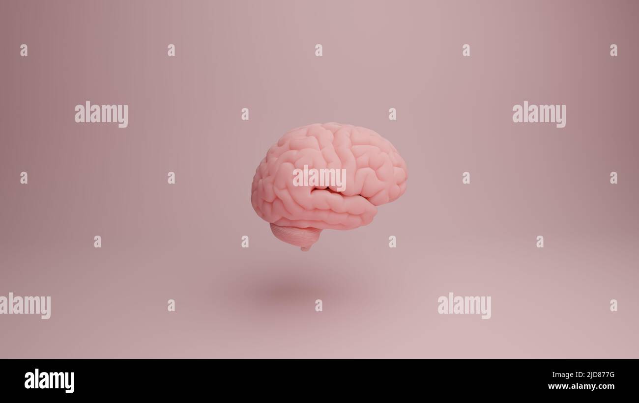 Warme farbe rendern -Fotos und -Bildmaterial in hoher Auflösung – Alamy