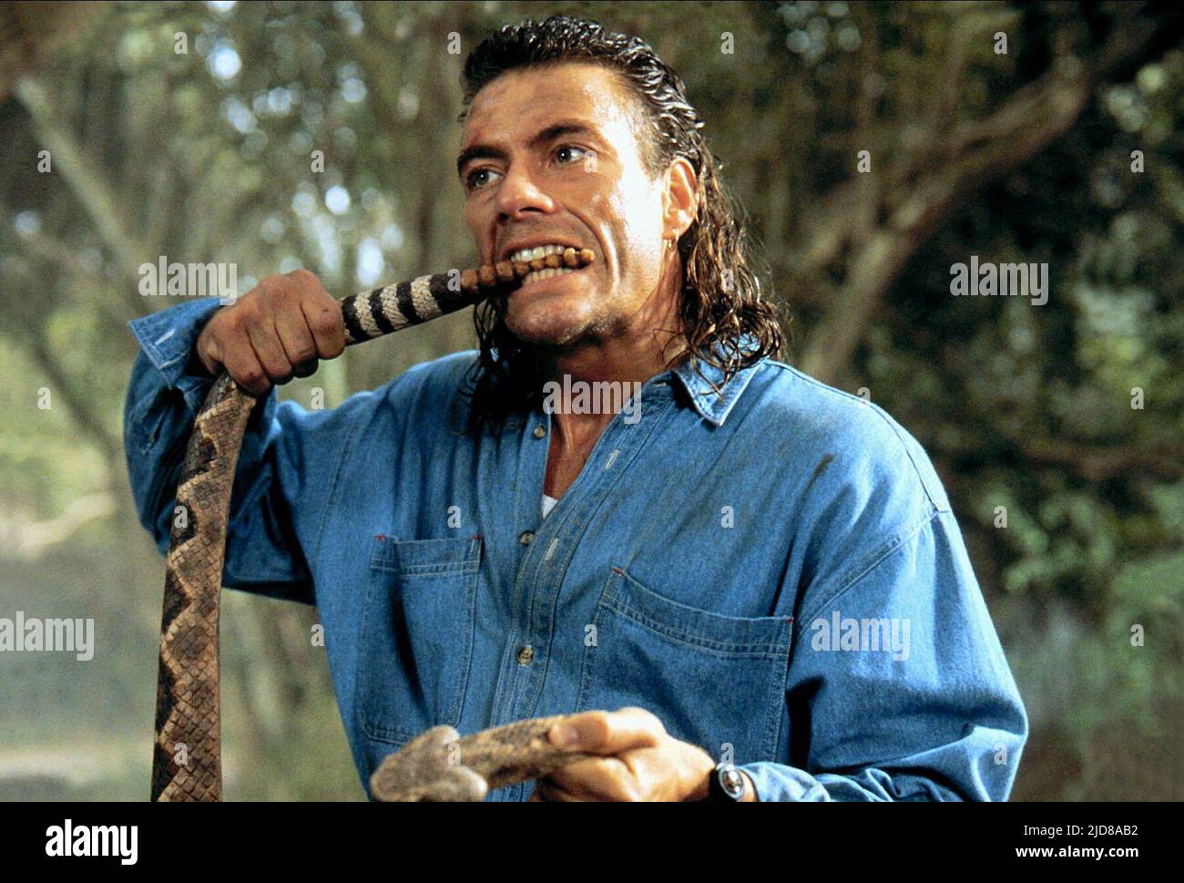 John claude -Fotos und -Bildmaterial in hoher Auflösung – Alamy