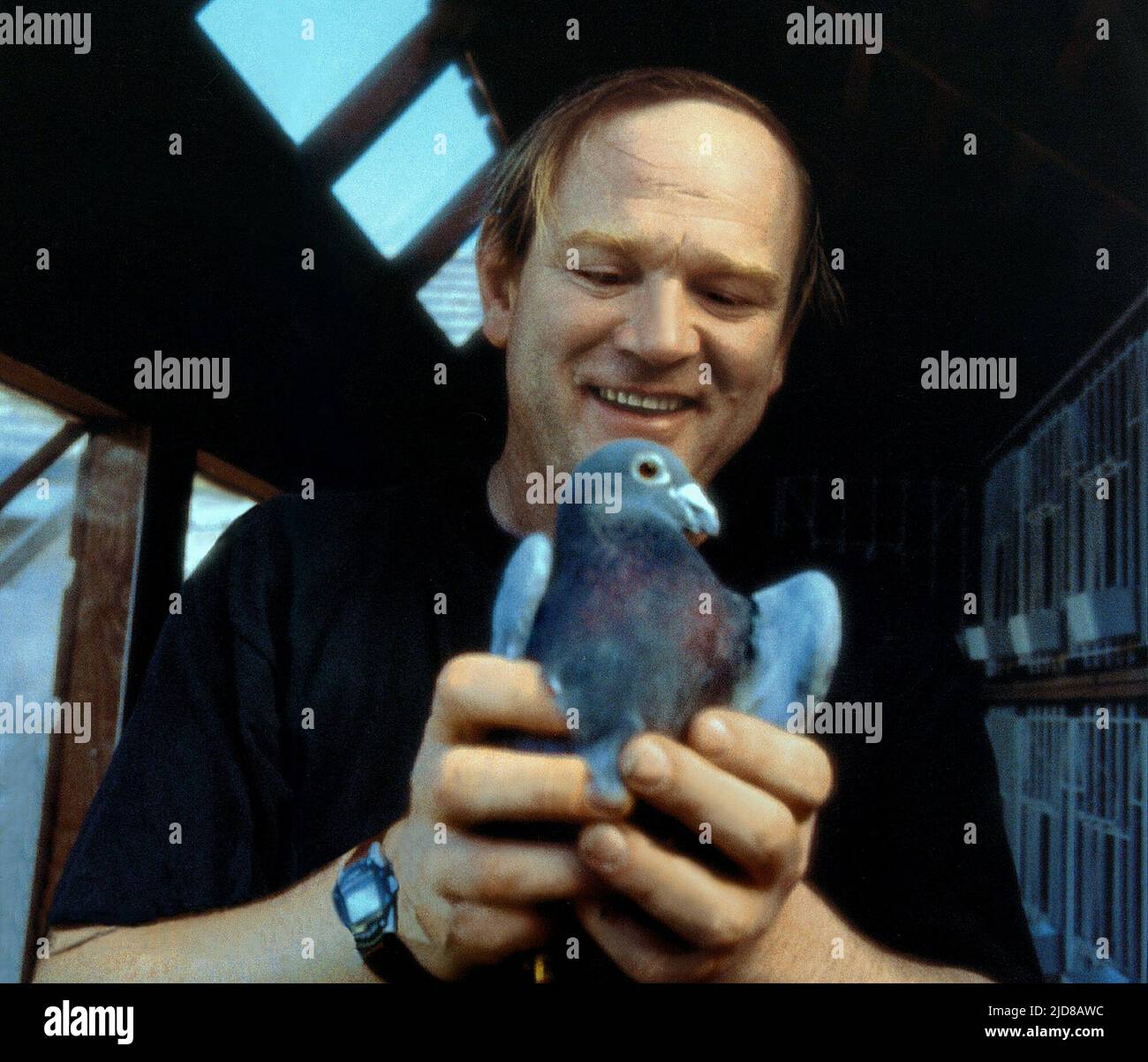 Martin boormann -Fotos und -Bildmaterial in hoher Auflösung – Alamy