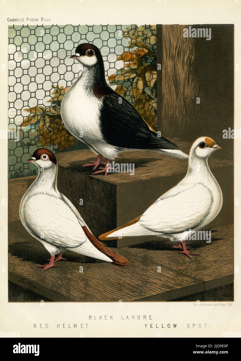 Künstler joseph williamson ludlow 1840 1916 -Fotos und -Bildmaterial in ...