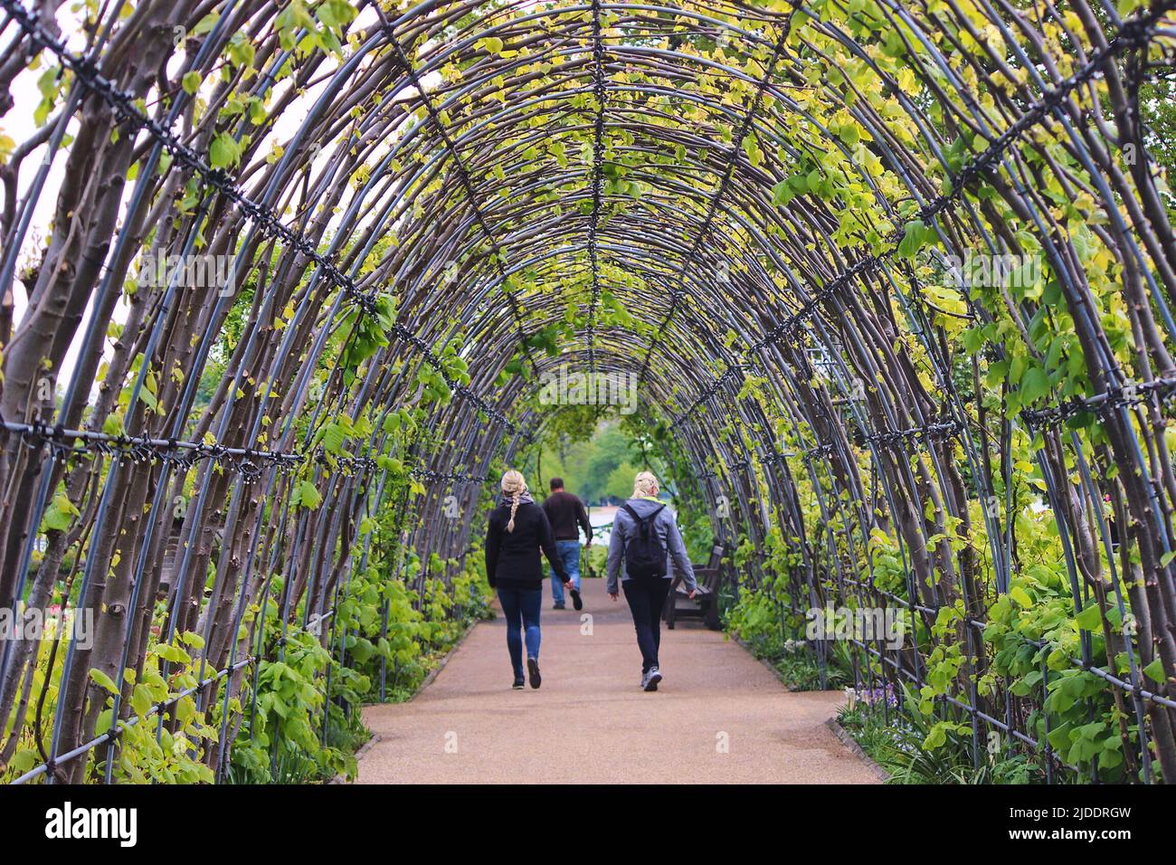 Zwei Frauen, die einen Torbogen aus Ästen und Blättern hinuntergehen ...
