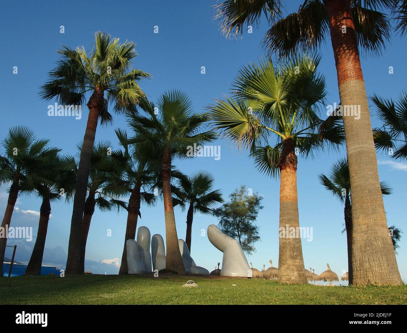 Charo garcia -Fotos und -Bildmaterial in hoher Auflösung – Alamy