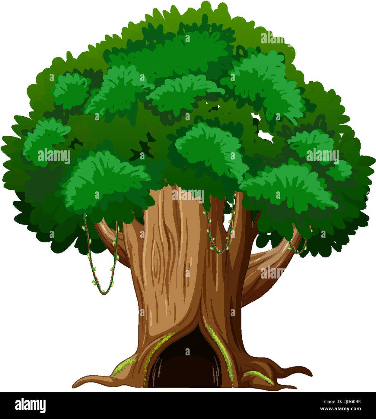 Großer Baum isoliert Cartoon-Illustration Stock-Vektorgrafik - Alamy