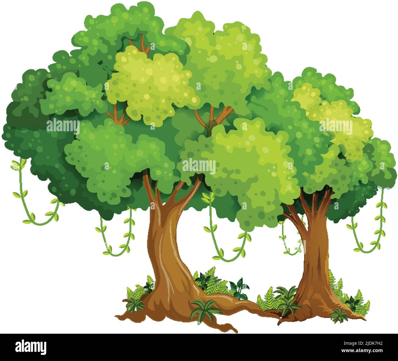 Großer Baum isoliert Cartoon-Illustration Stock-Vektorgrafik - Alamy