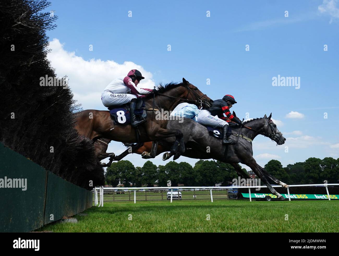 Nibras Gold von David Noonan (links) auf dem Weg zum Sieg der At the ...