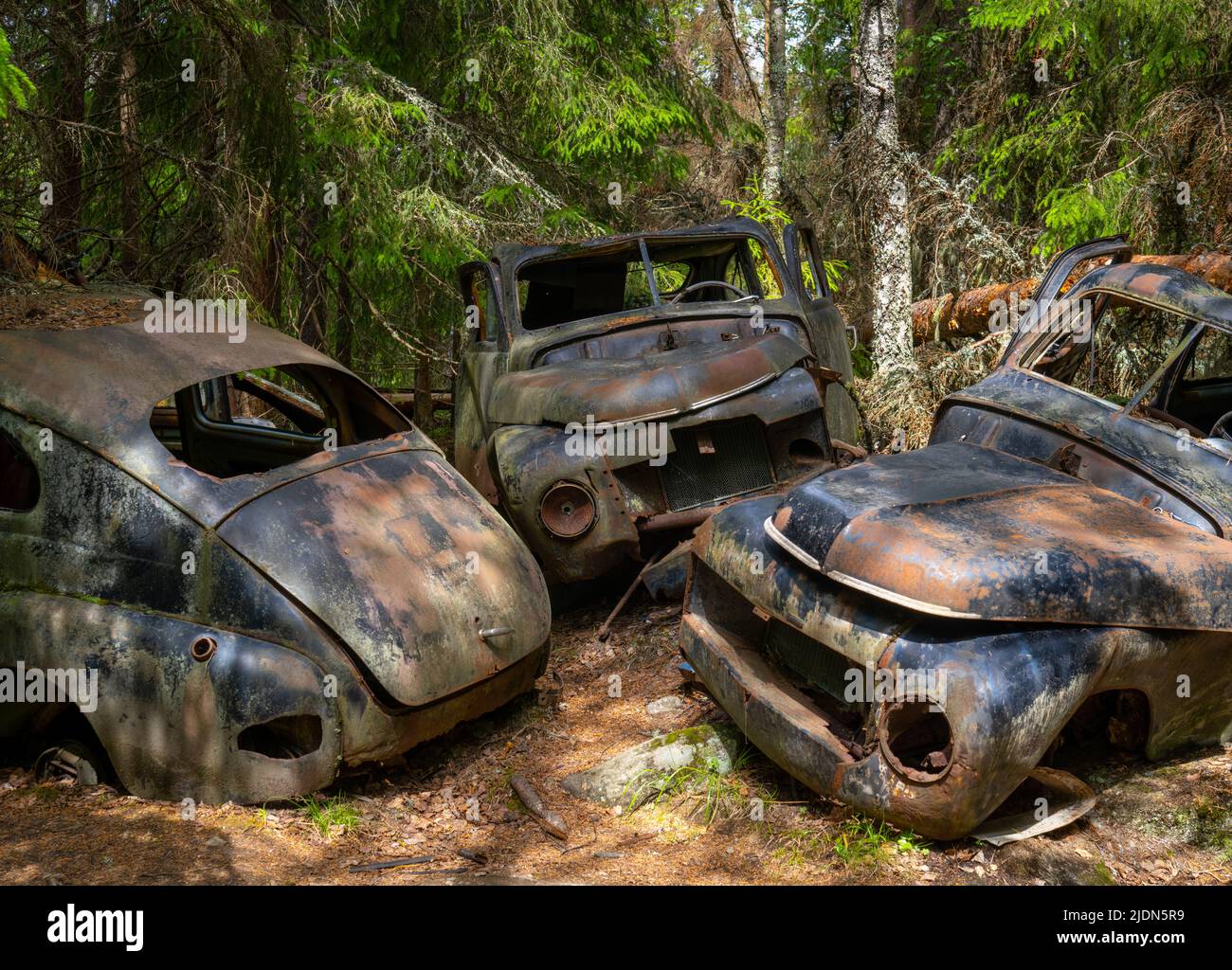 Autowracks, alte Autos in Ivan´s Schrottplatz in Båstnäs, Südschweden ...