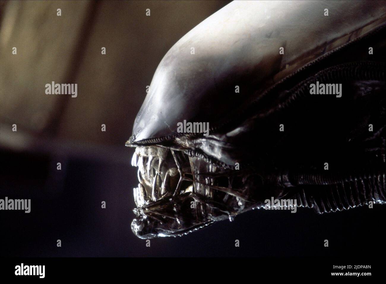 Alien teeth -Fotos und -Bildmaterial in hoher Auflösung – Alamy