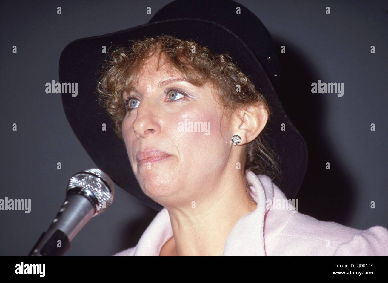 Barbra Streisand bei der Nationalen Organisation für Frauen ehrt Barbra ...