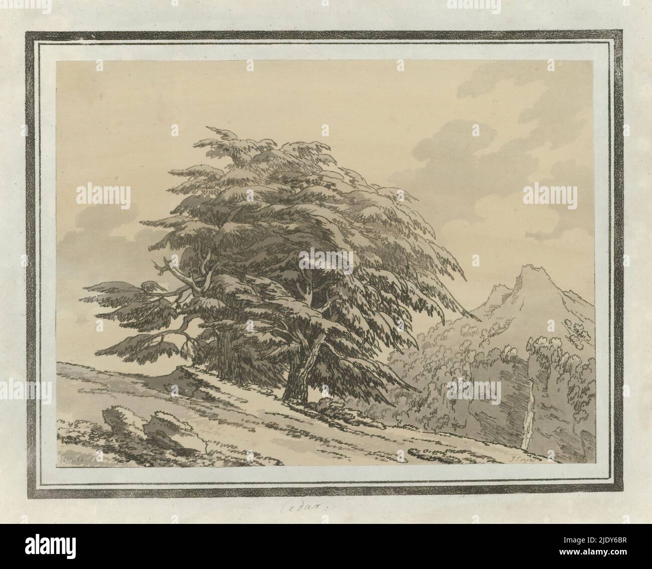 Vierzehn studien -Fotos und -Bildmaterial in hoher Auflösung – Alamy