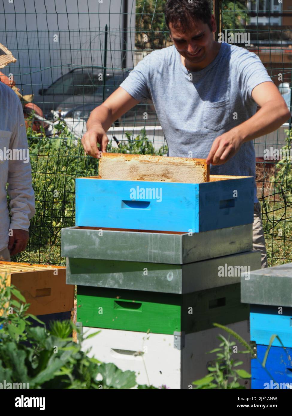 Imker, der mit Bienen und Bienenstöcken auf dem Bienenhaus arbeitet ...