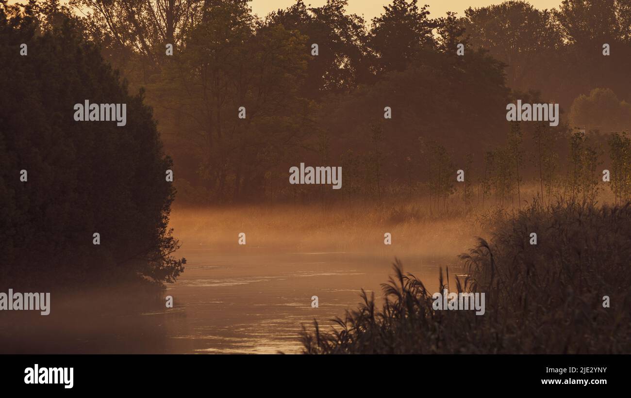 Fiume giallo -Fotos und -Bildmaterial in hoher Auflösung – Alamy