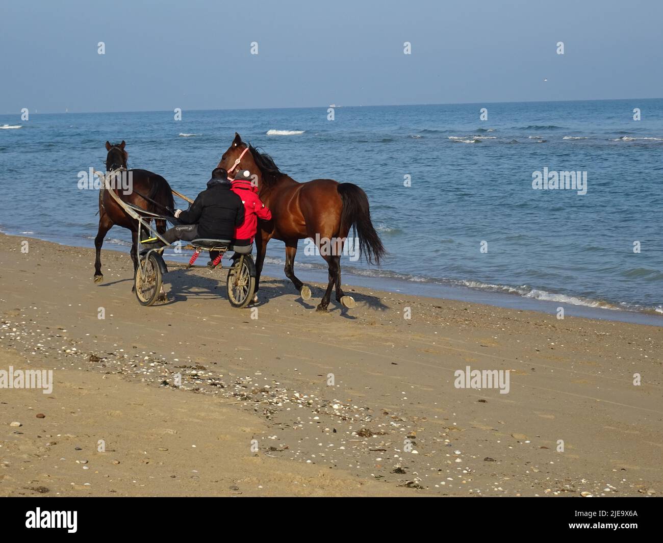 Zwei pferde am strand in normandie -Fotos und -Bildmaterial in hoher ...