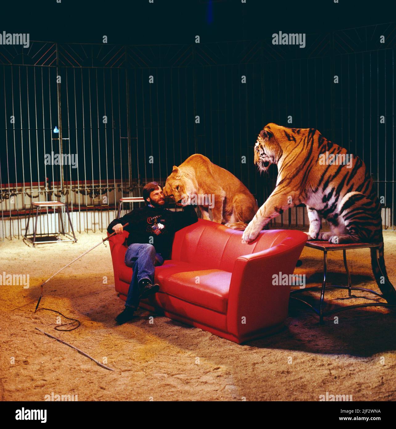 Die Rote Couch, ZDF Unterhaltungsmagazin über Lebensarten und Gefühle ...