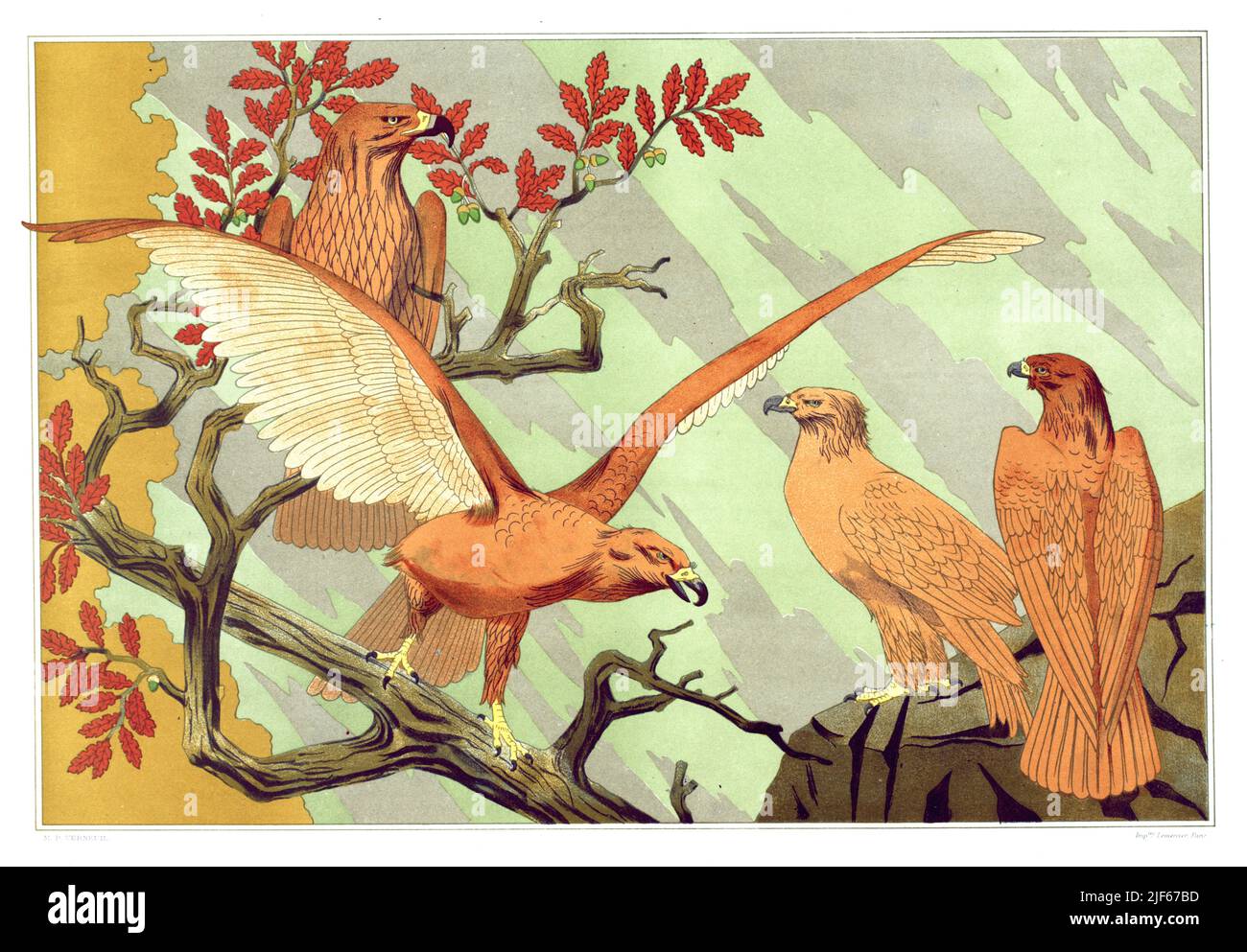 Adler arbeiten -Fotos und -Bildmaterial in hoher Auflösung – Alamy