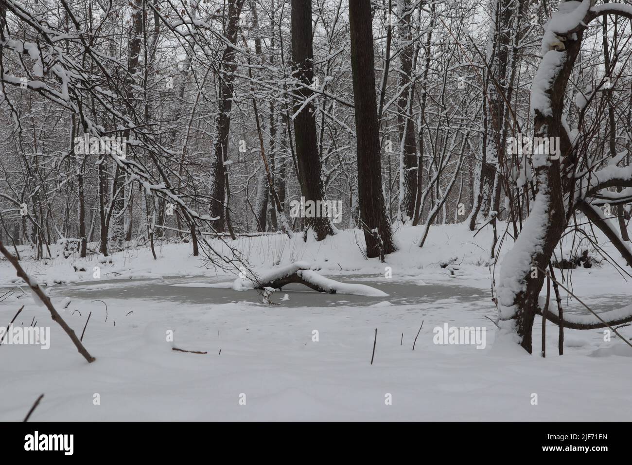 Verschneiter wald fluss -Fotos und -Bildmaterial in hoher Auflösung – Alamy