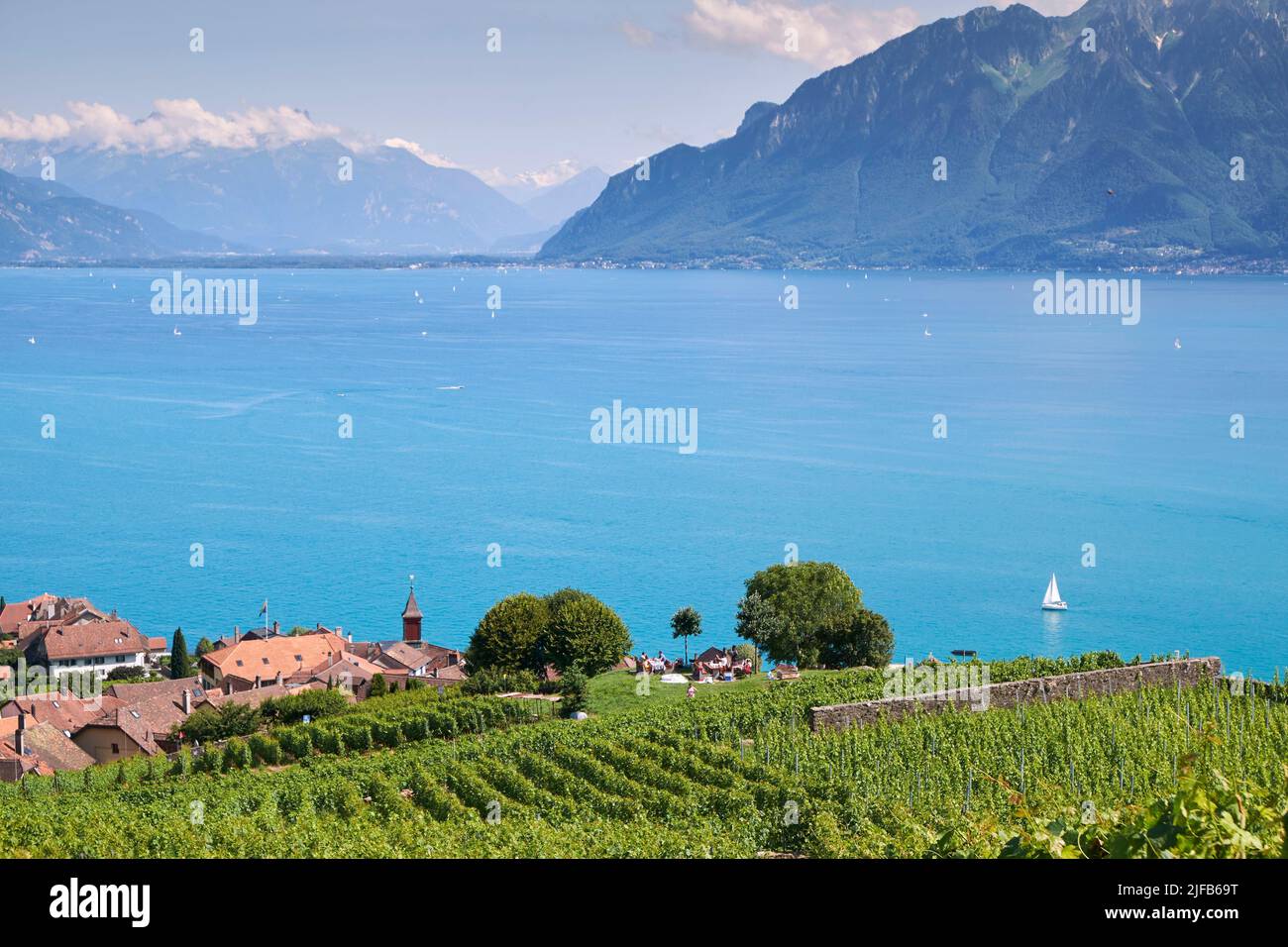 Schweiz, Kanton Waadt, Lavaux Weinbergterrassen das Dorf Rivaz, die ...