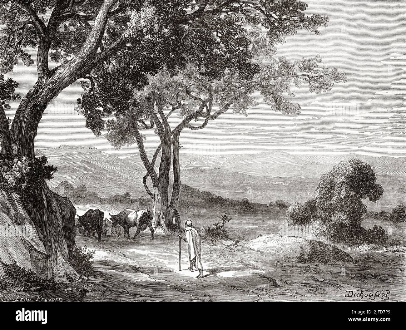 Straße nach Fort Napoleon, Kabylei. Nord-Algerien, Afrika. Ausflug in ...