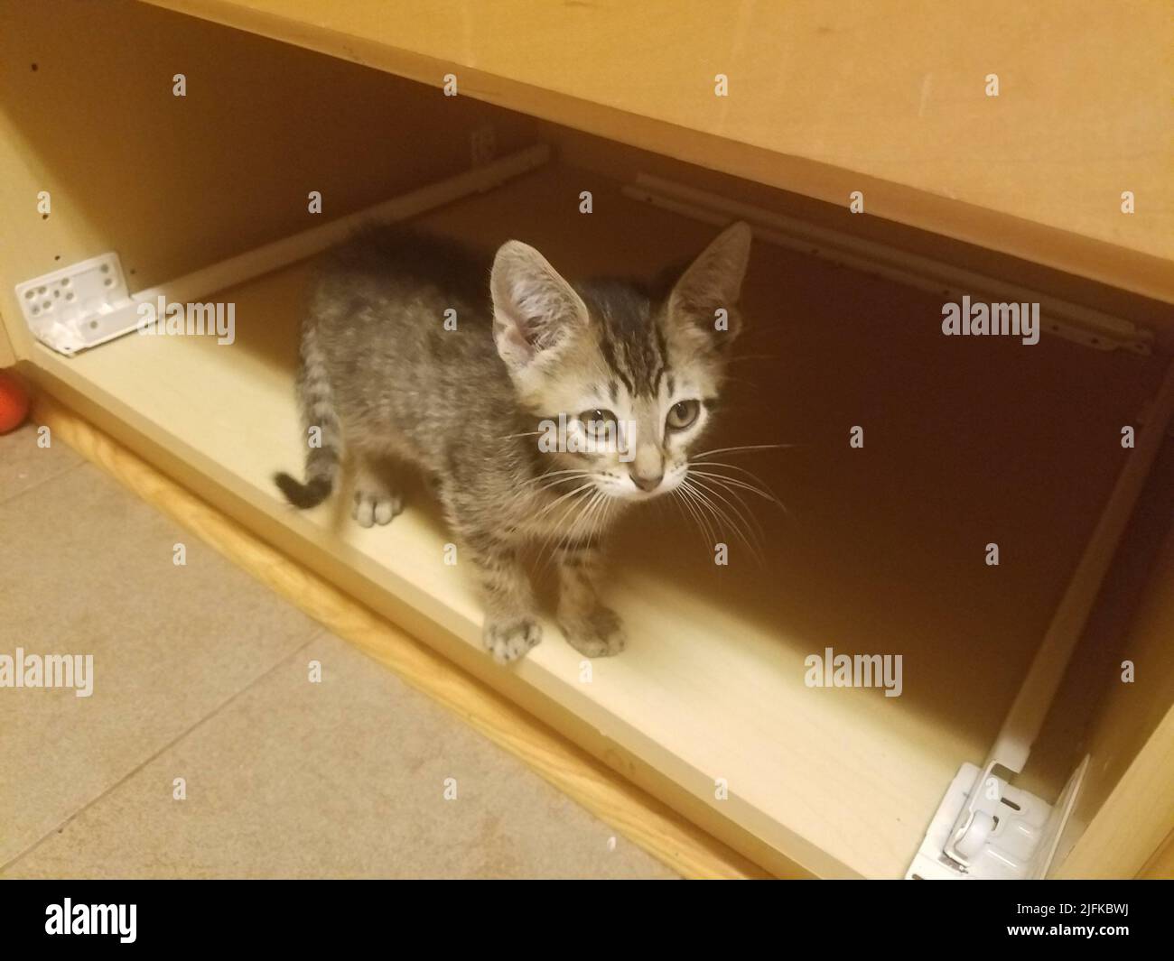 Küchenschrank aus holz -Fotos und -Bildmaterial in hoher Auflösung – Alamy