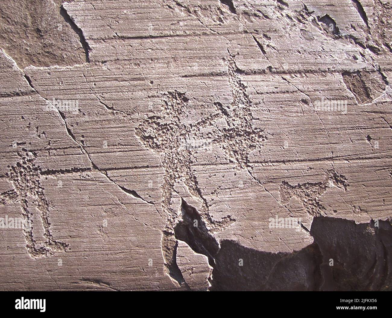 Parco nazionale incisioni rupestri -Fotos und -Bildmaterial in hoher ...