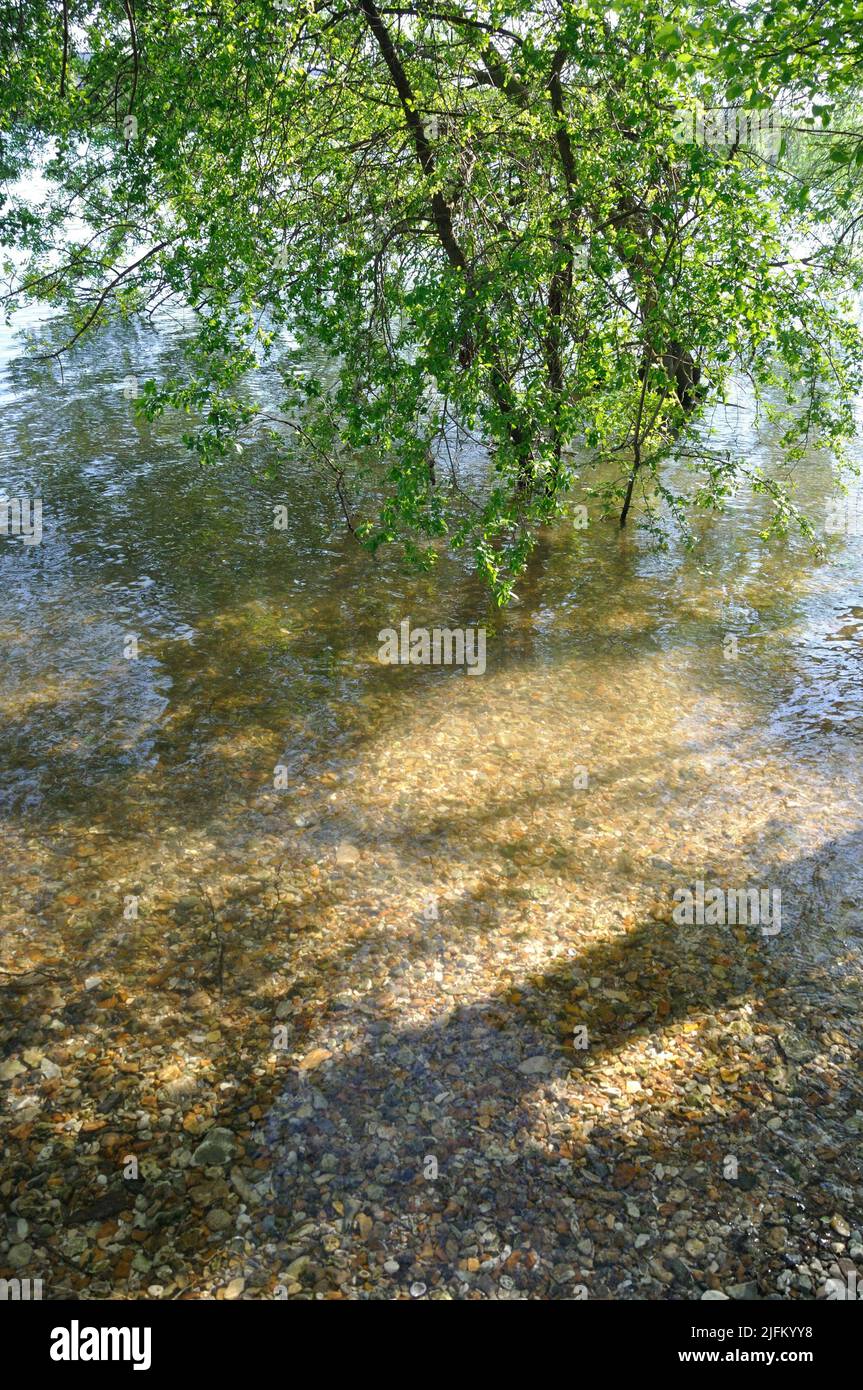 Fluss natur flussufer flussbett -Fotos und -Bildmaterial in hoher ...