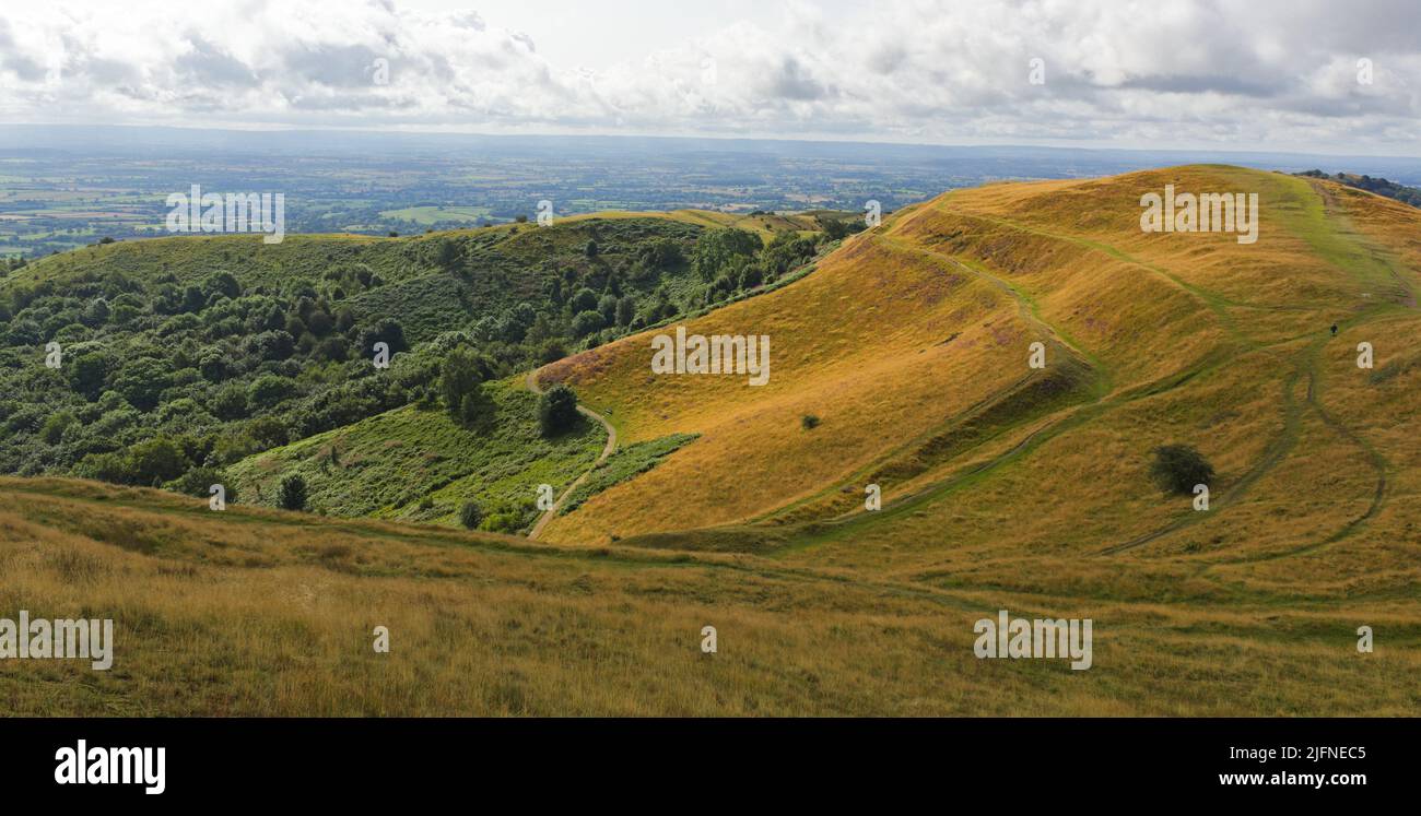 British lager -Fotos und -Bildmaterial in hoher Auflösung – Alamy