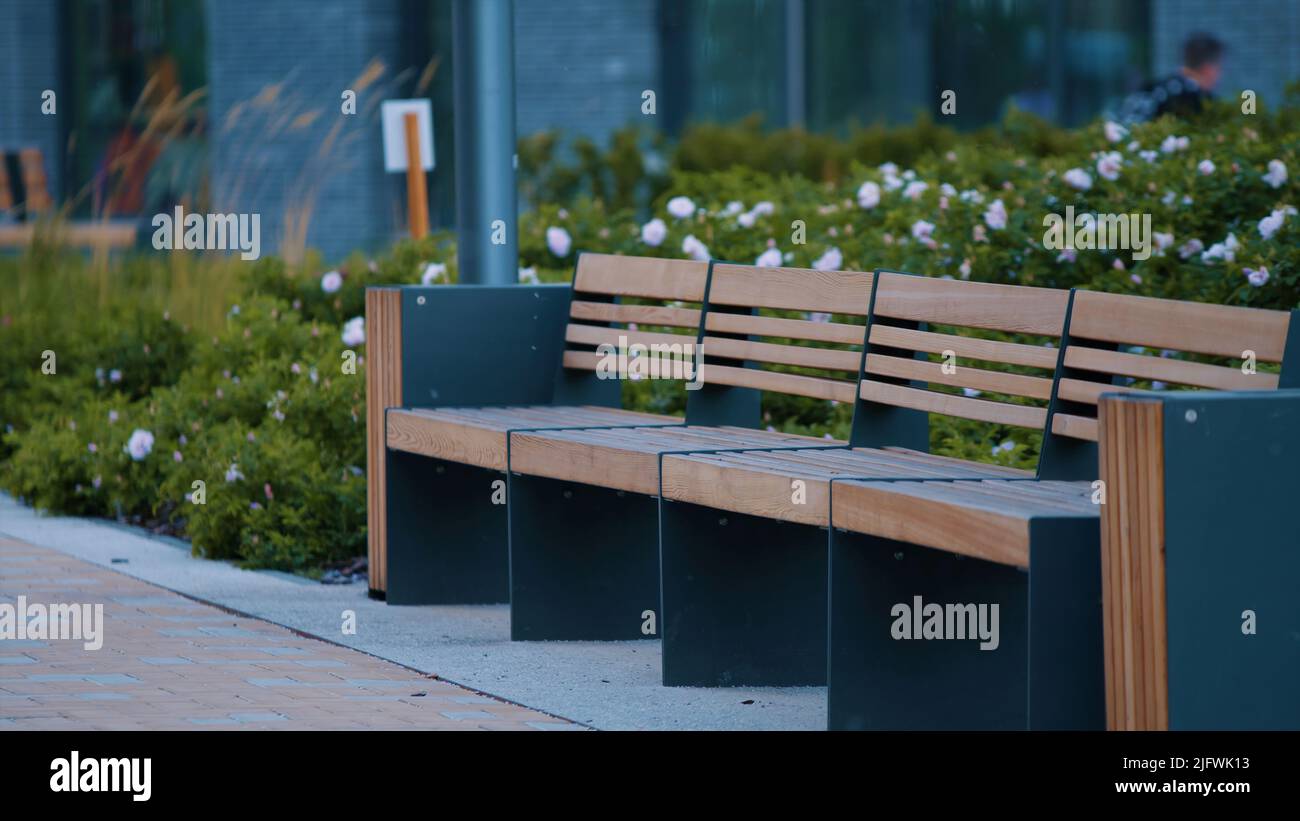 Ein Ort der Ruhe.Archivmaterial.kleine Bänke im Park, hinter denen weiße Blumen in Blumenbeeten ...