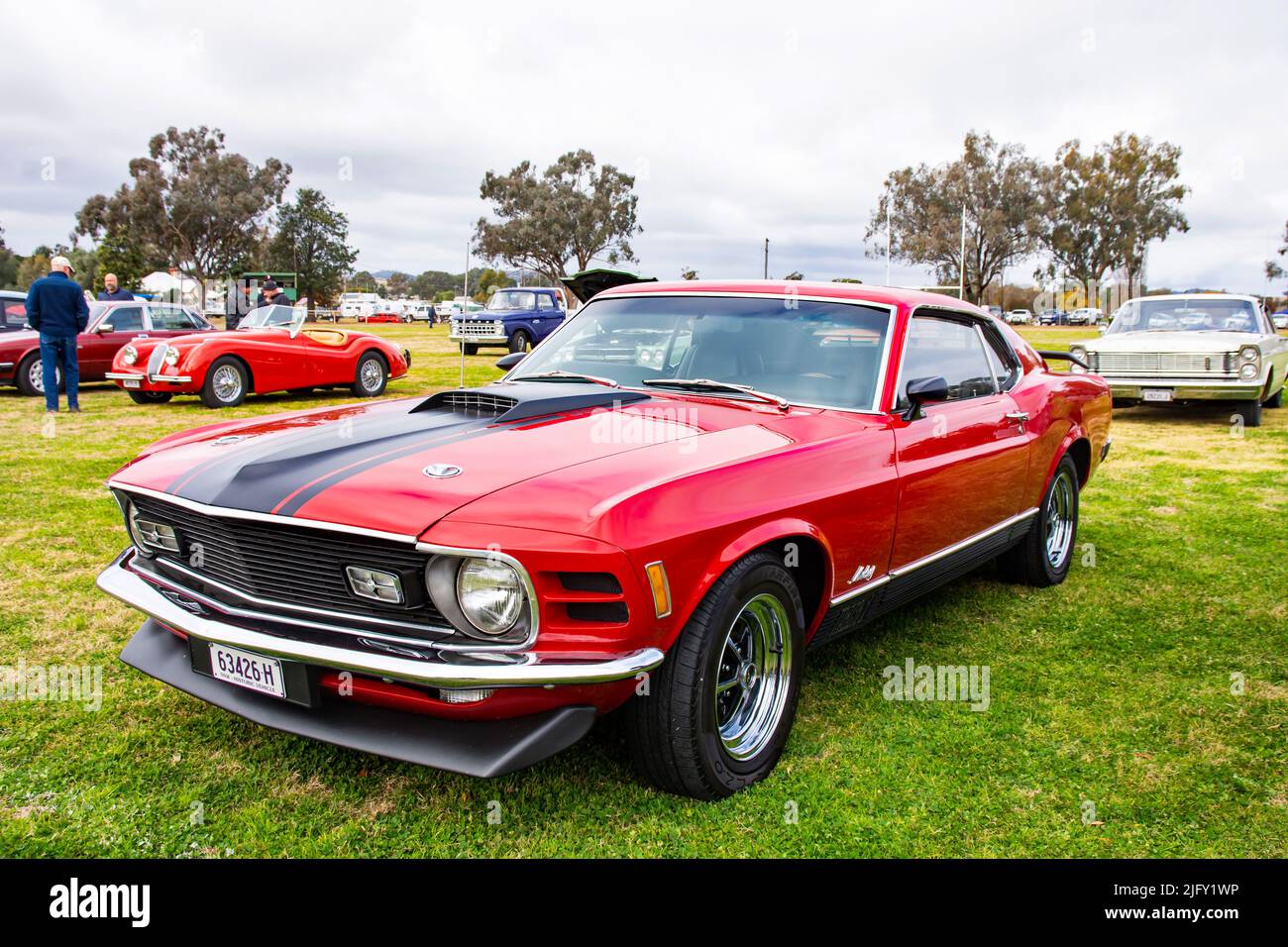 Mach 2 mustang store
