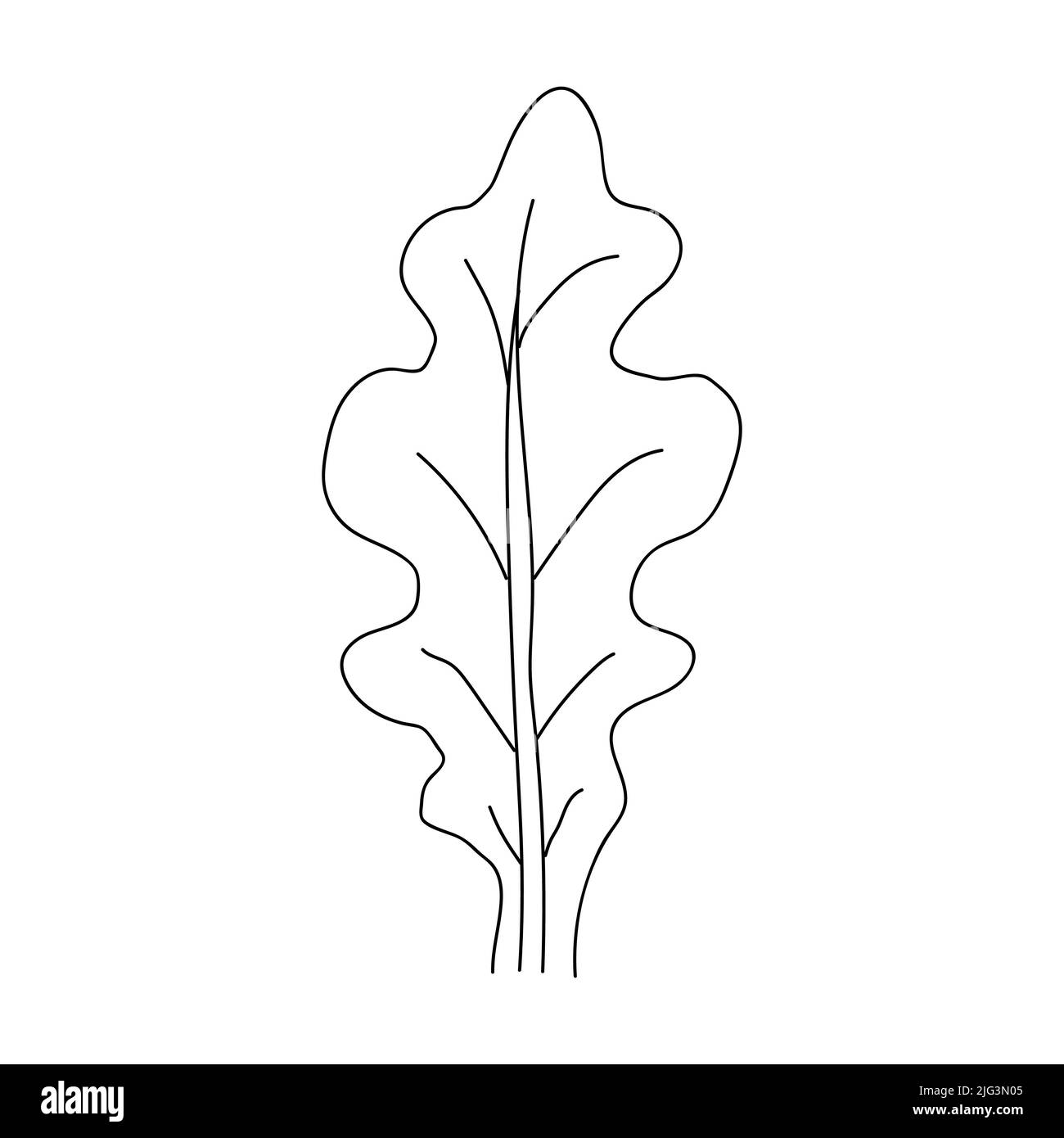 Lineares Symbol mit Eichenlaub. Dünne Linien. Konturvektor ...