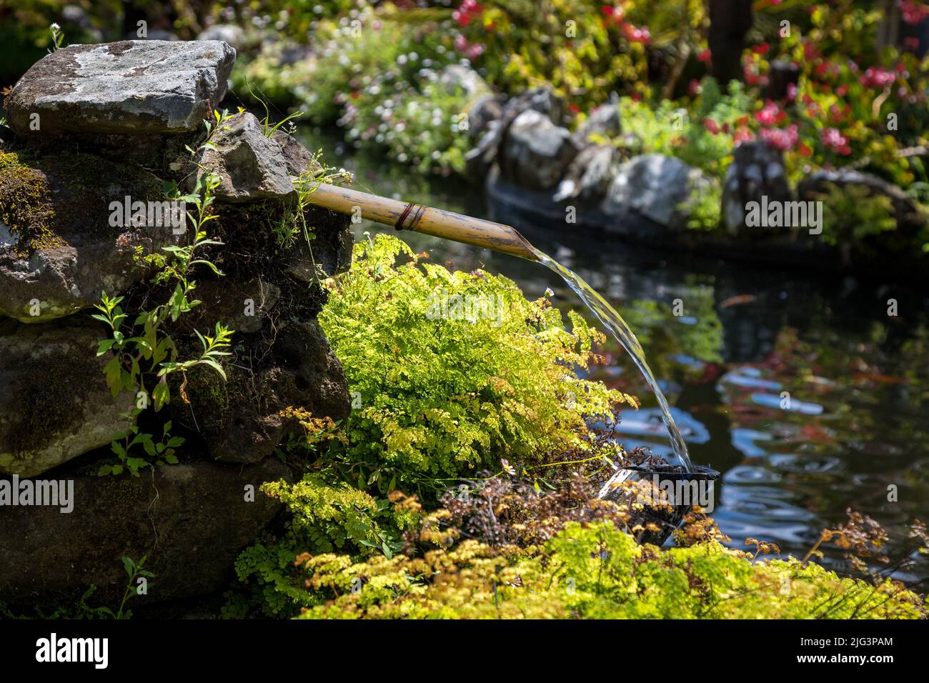 Funchal im sommer -Fotos und -Bildmaterial in hoher Auflösung – Alamy