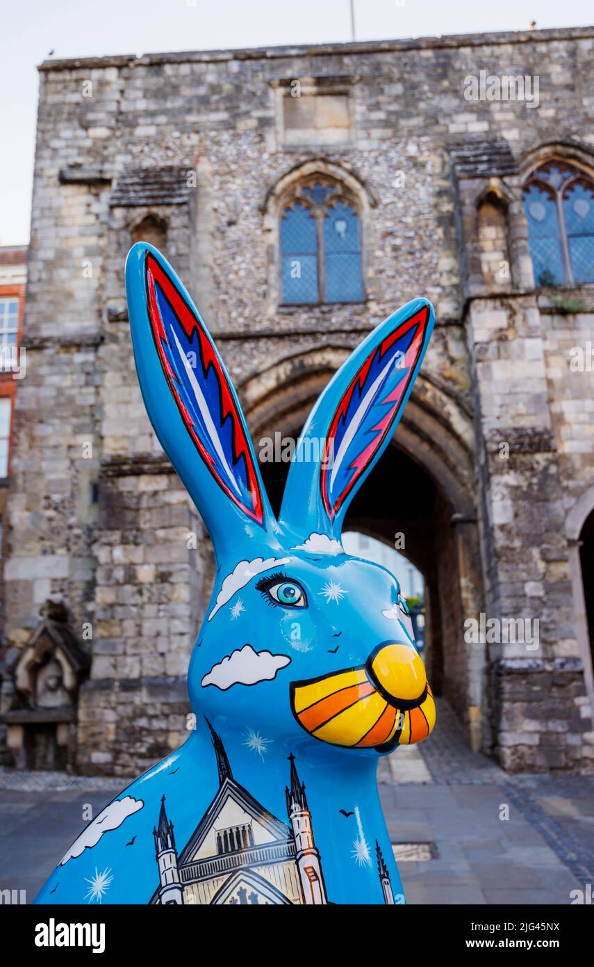 Ein englischer riesenhase -Fotos und -Bildmaterial in hoher Auflösung ...