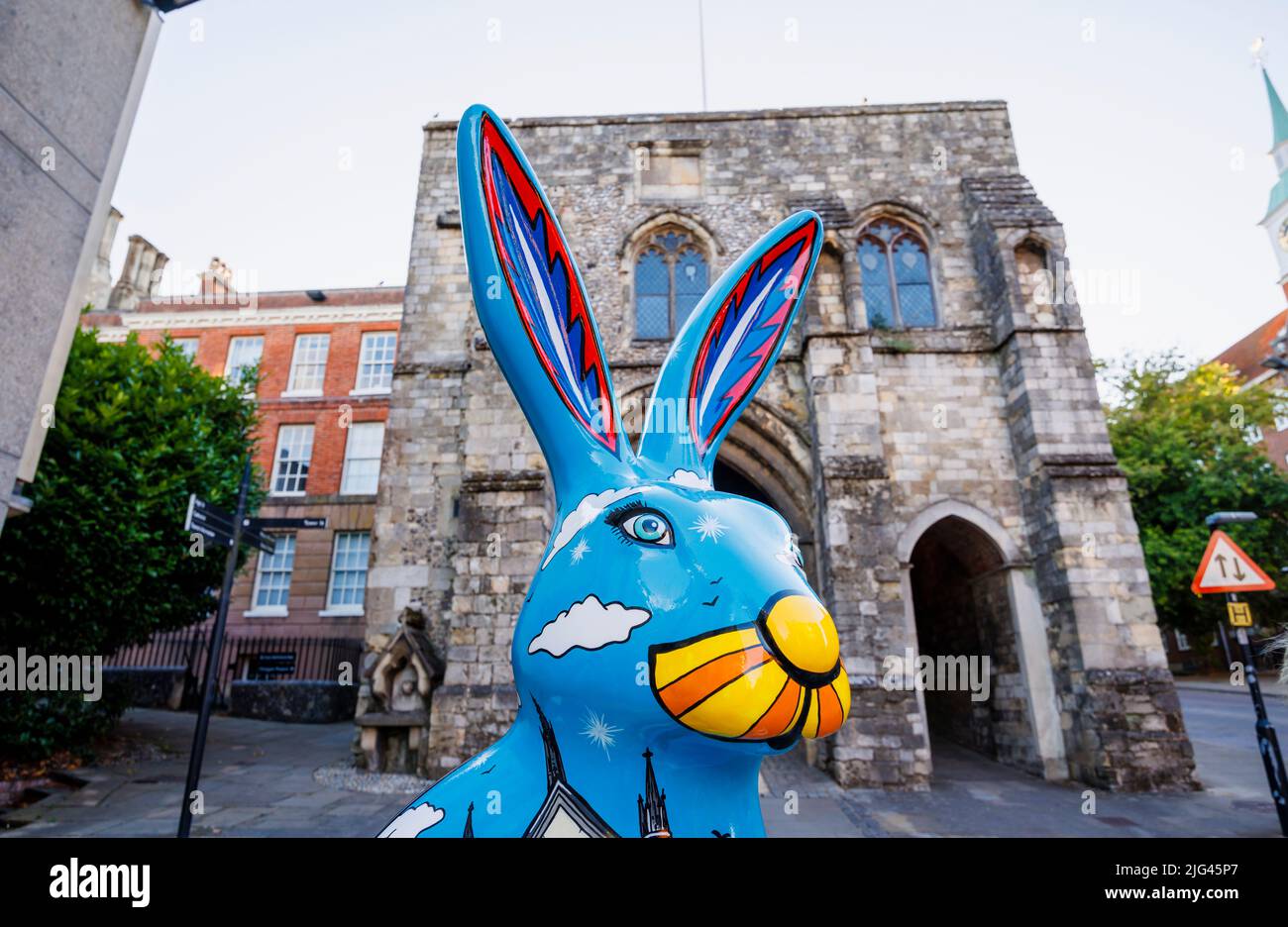 Ein englischer riesenhase -Fotos und -Bildmaterial in hoher Auflösung ...