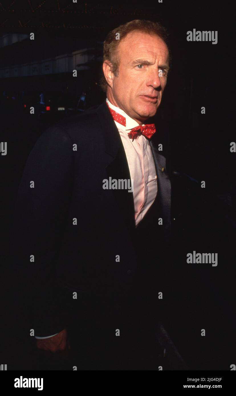 ***DATEI FOTO*** James Caan ist verstorben. James Caan und Ingrid Hajek ...