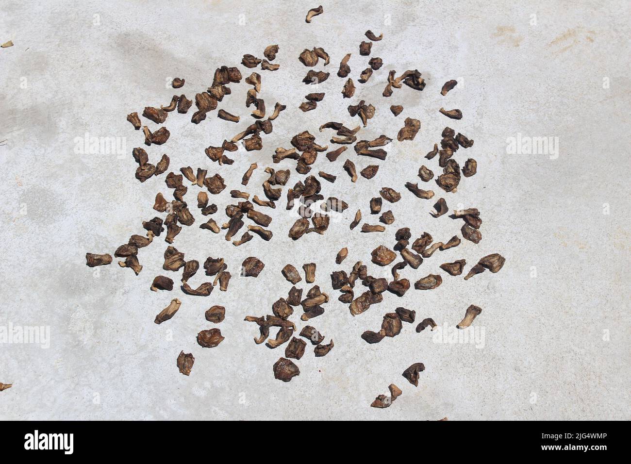 Trockene mango fryums -Fotos und -Bildmaterial in hoher Auflösung – Alamy