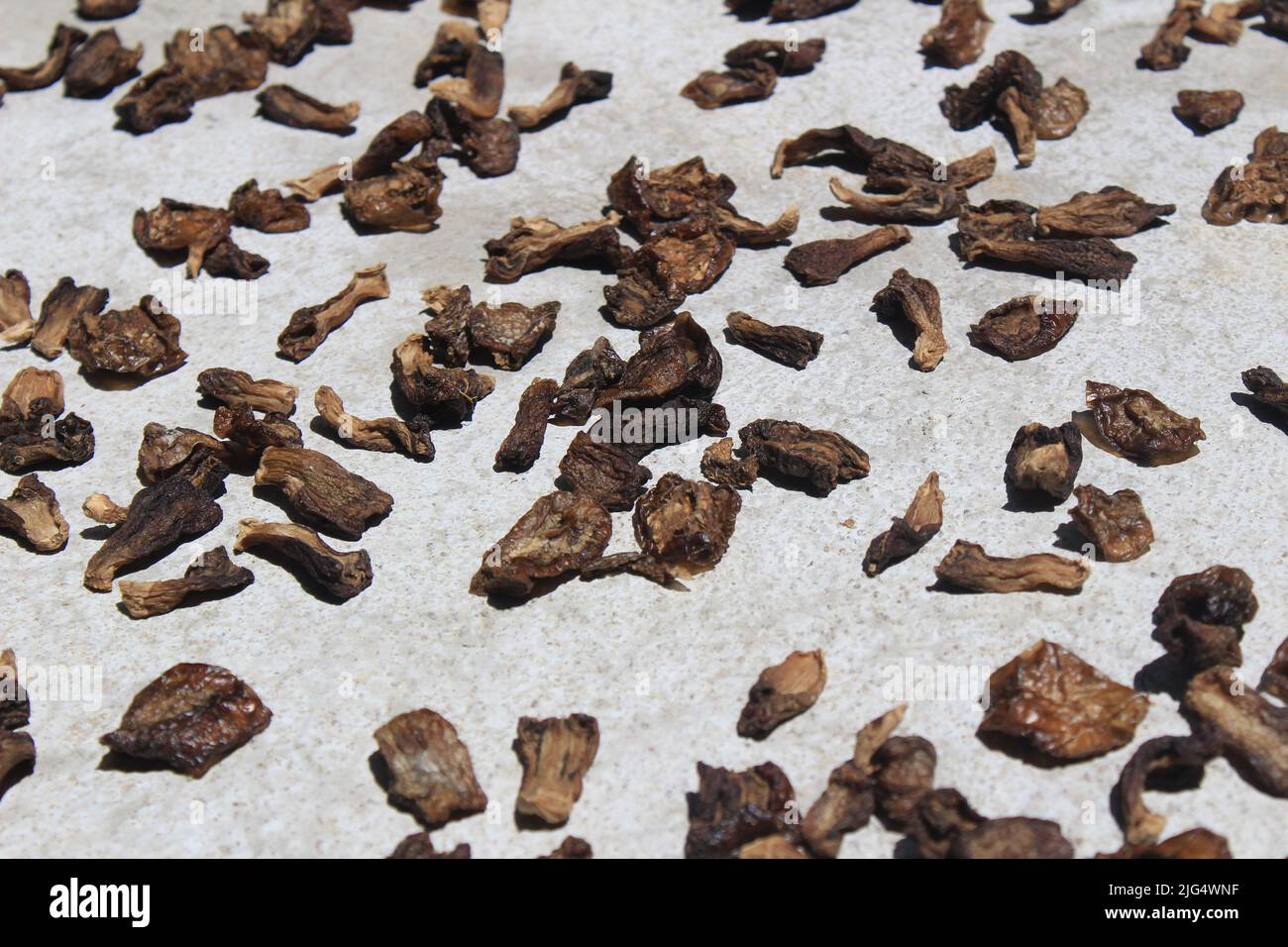 Trockene mango fryums -Fotos und -Bildmaterial in hoher Auflösung – Alamy