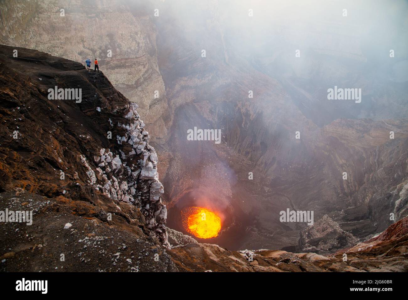 Natur kameramann -Fotos und -Bildmaterial in hoher Auflösung – Alamy