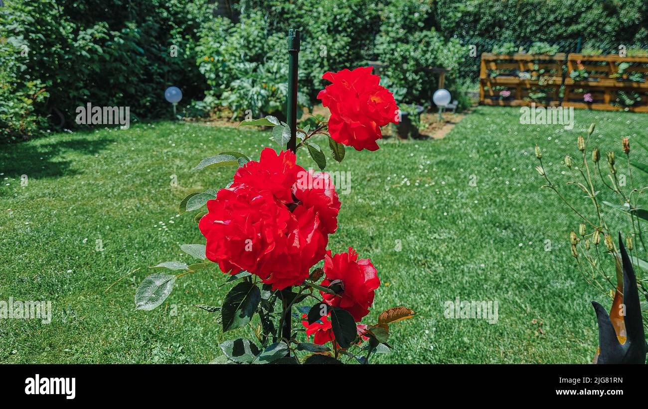 Unterer vorbau -Fotos und -Bildmaterial in hoher Auflösung – Alamy