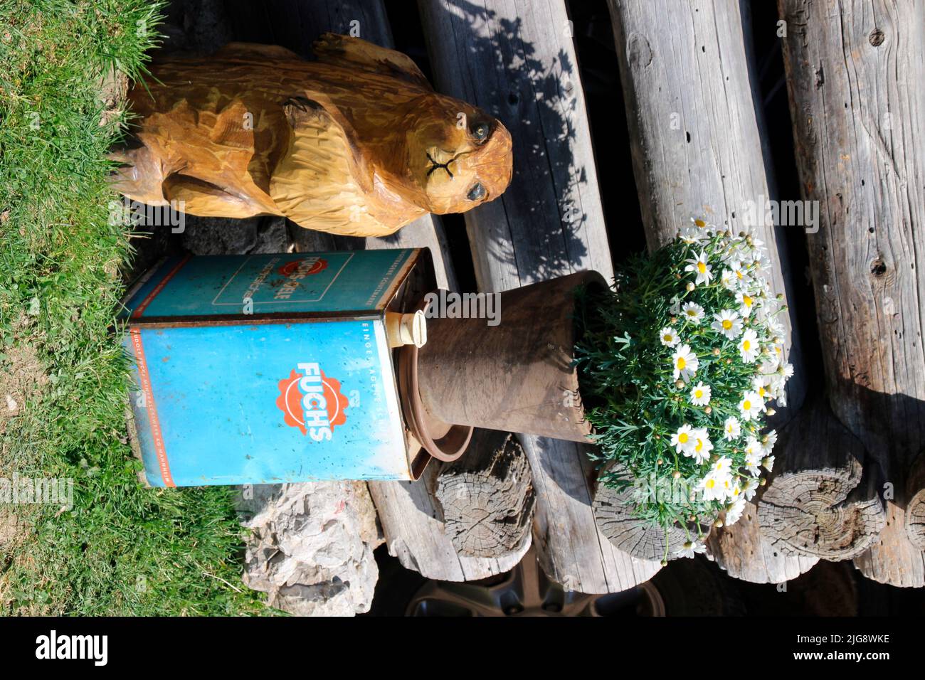 Murmeltier und blumen -Fotos und -Bildmaterial in hoher Auflösung – Alamy