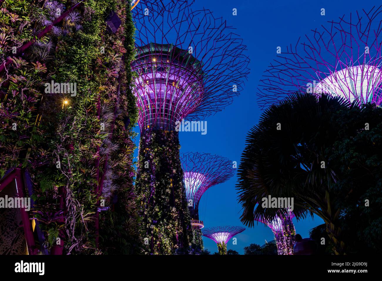 Signapore -Fotos und -Bildmaterial in hoher Auflösung – Alamy