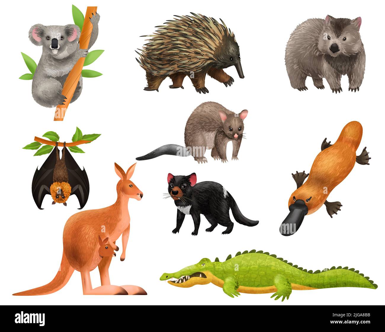 Australische einheimische nagetiere -Fotos und -Bildmaterial in hoher ...