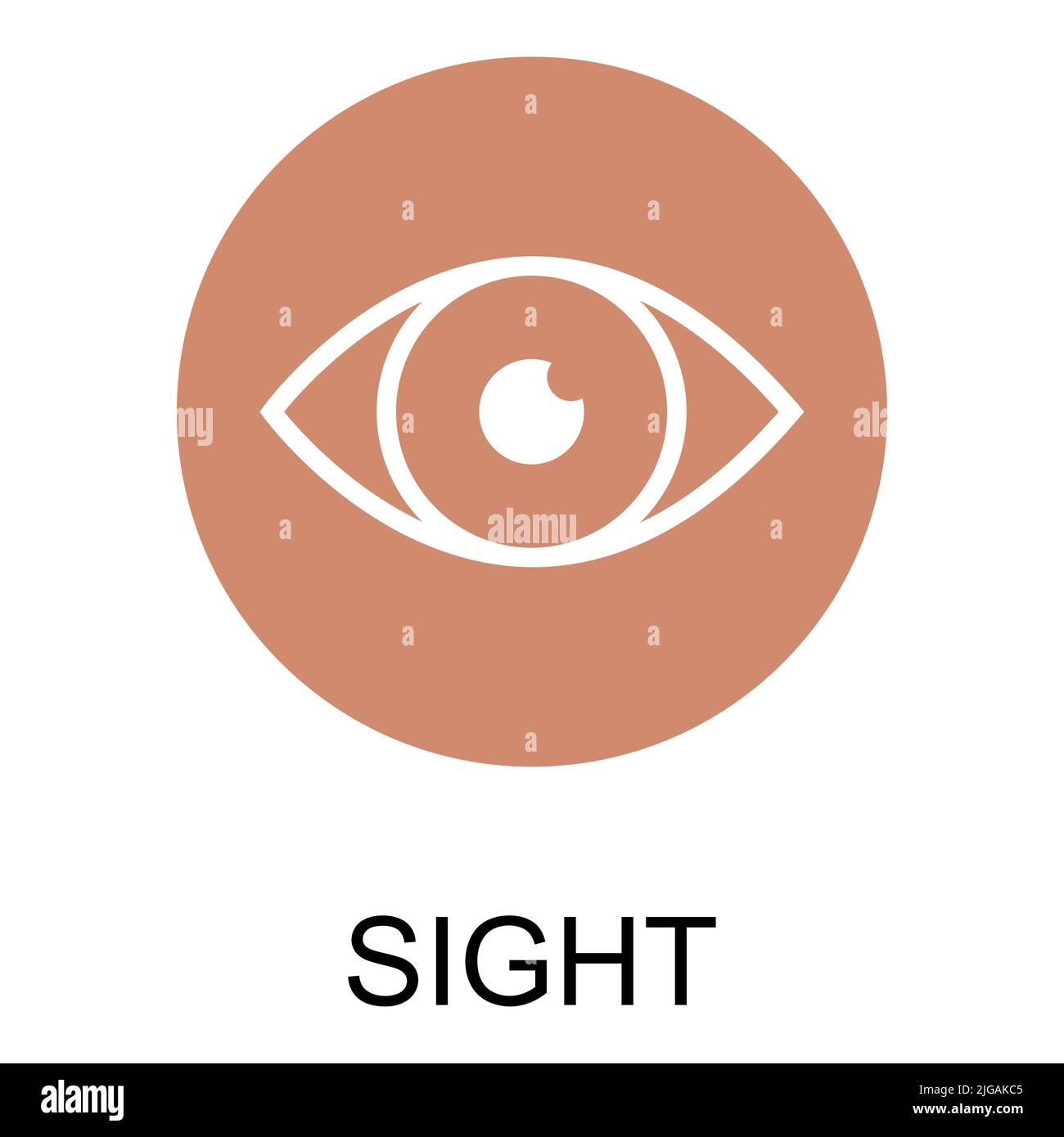 Menschliche Anatomie flaches Auge Symbol, Anblick Gesundheit Organ ...