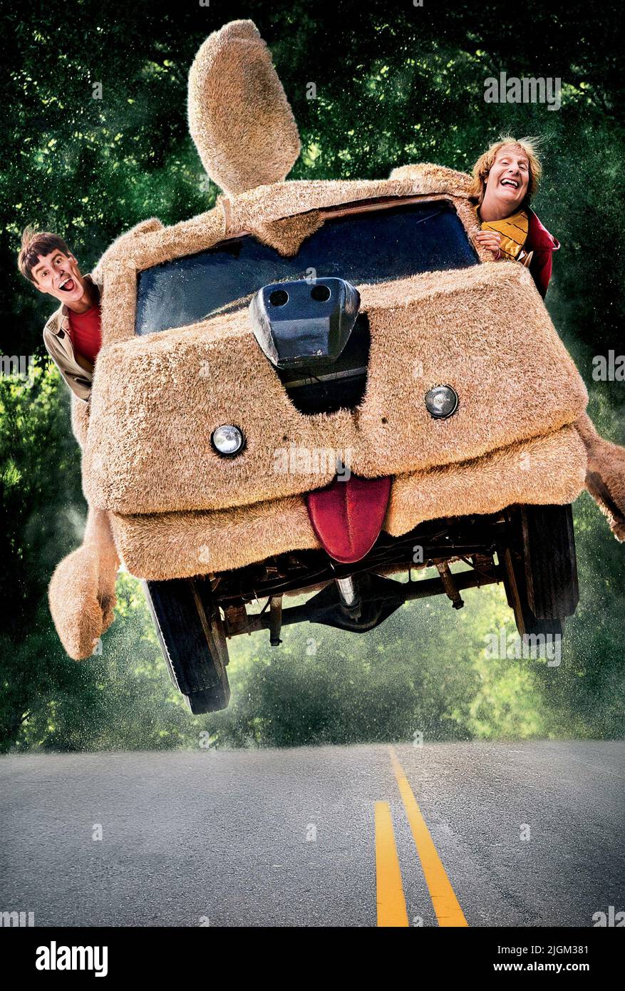 Dumm und dummehr -Fotos und -Bildmaterial in hoher Auflösung – Alamy