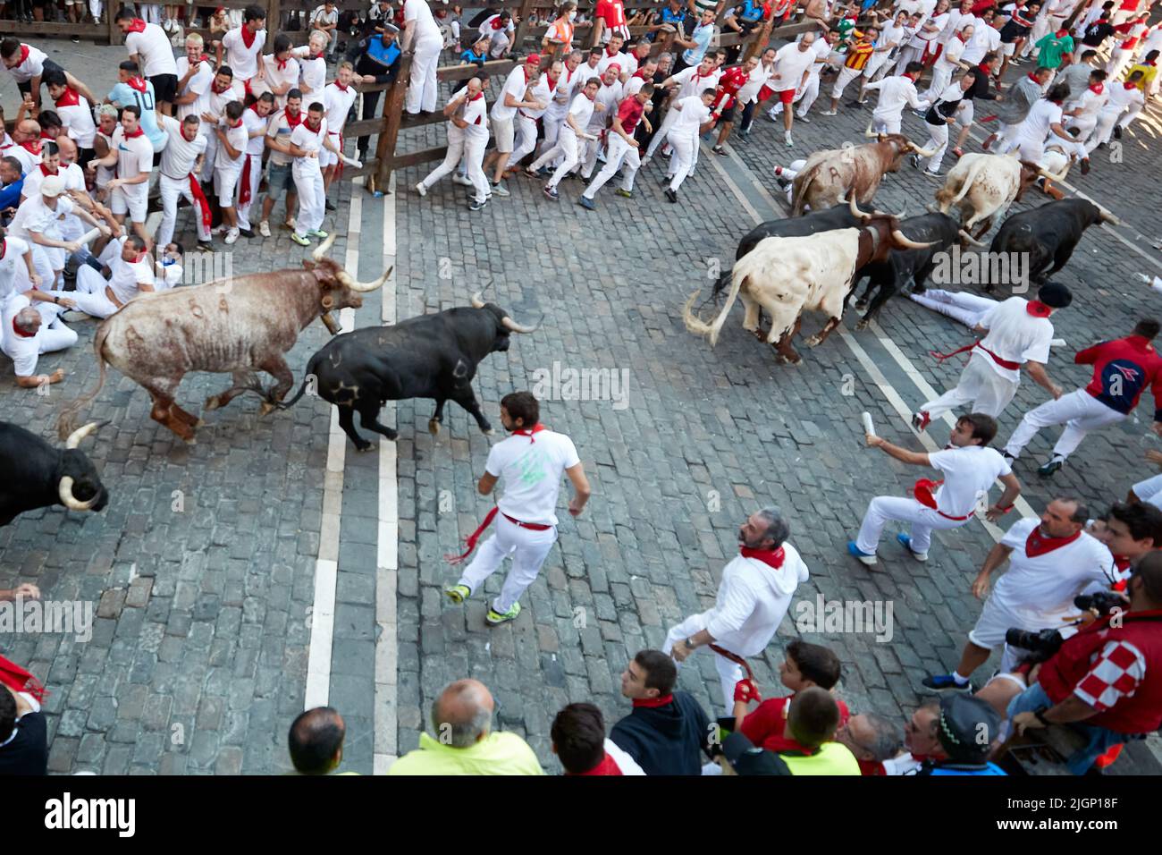 Luftaufnahme der Bullen aus dem Vieh von Jandilla, die am sechsten Tag ...