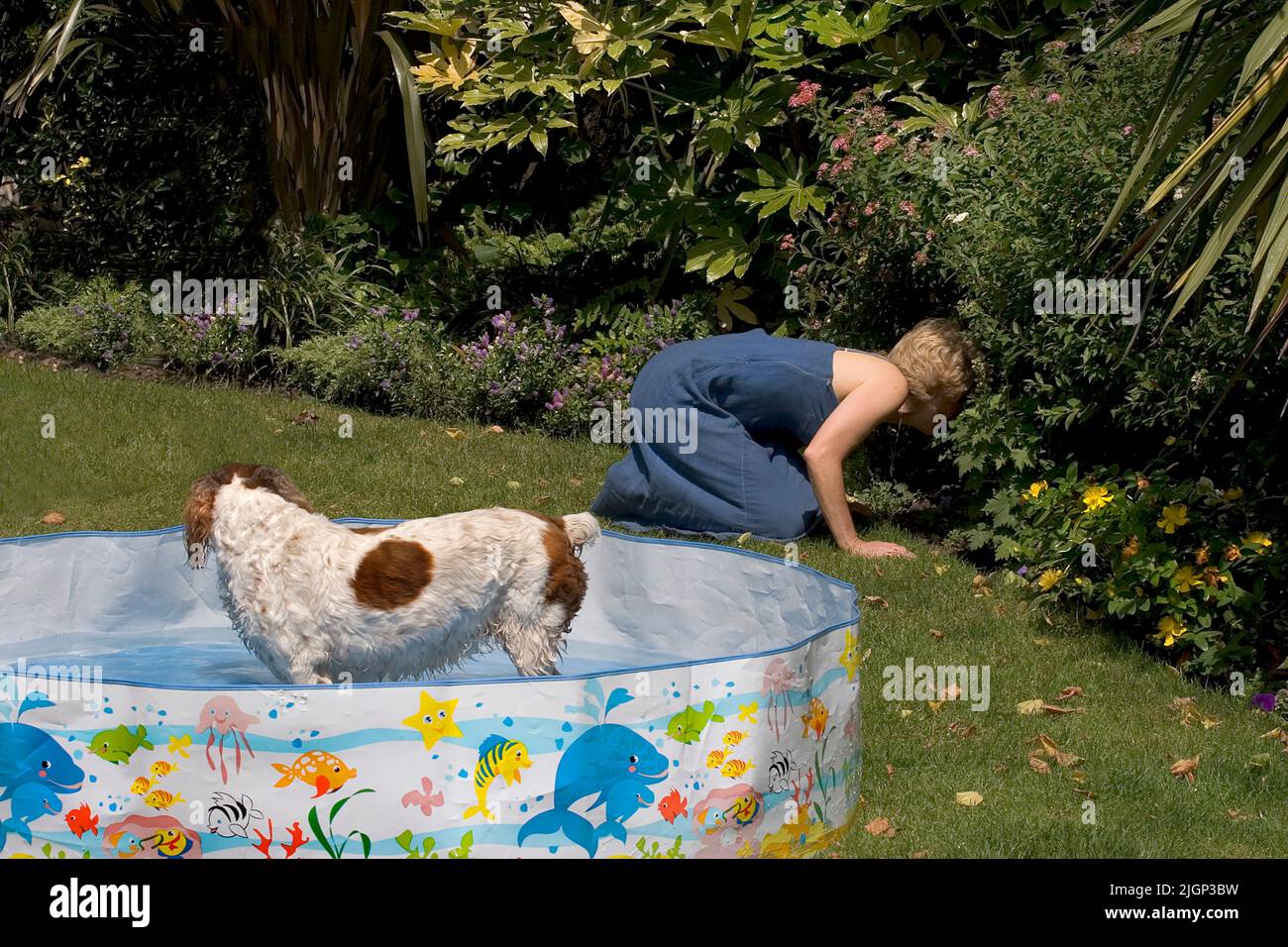 Jenny seagrove und kizzy -Fotos und -Bildmaterial in hoher Auflösung ...
